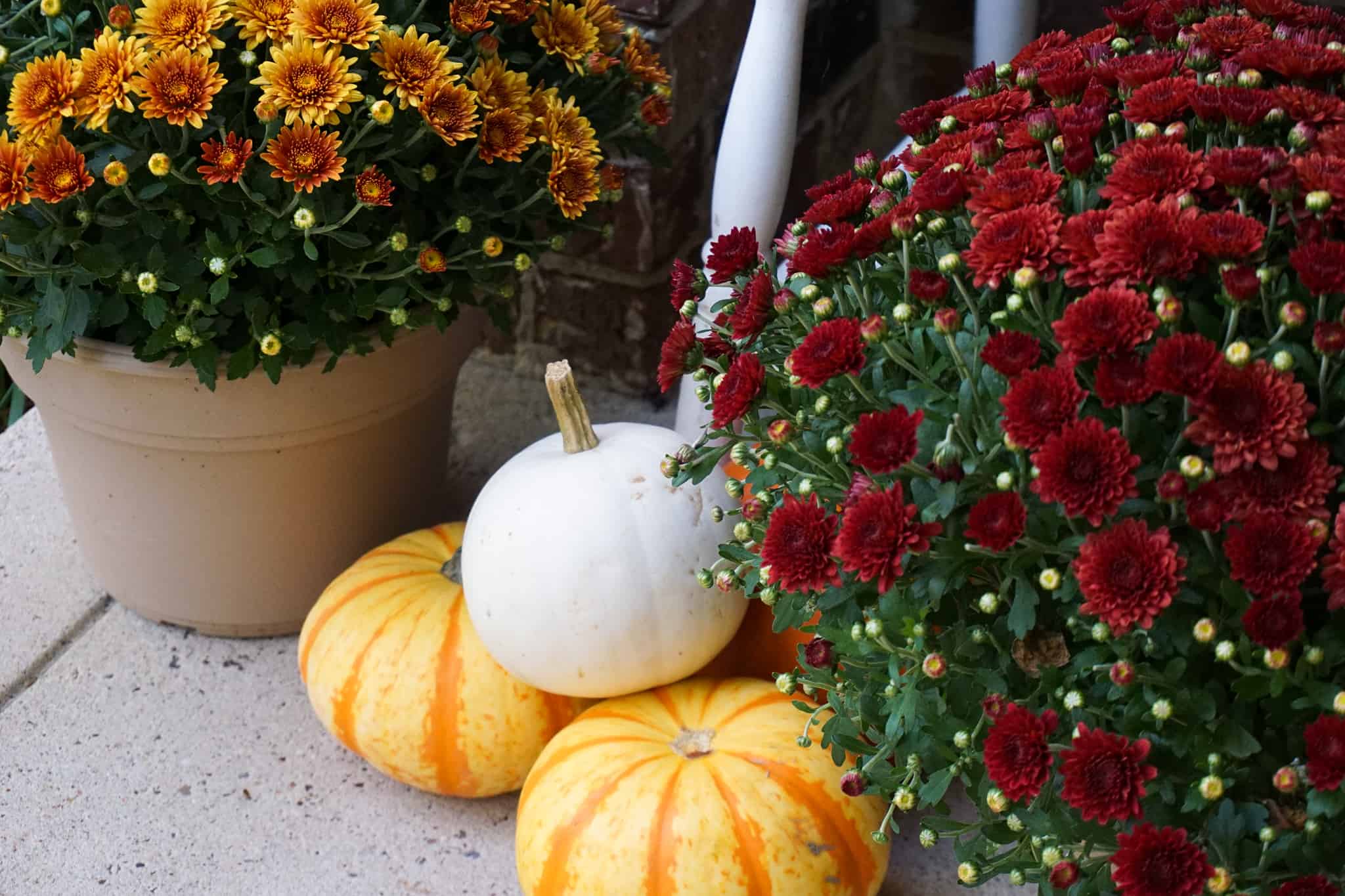 Fall Porch Inspiration: 10 Amazing Fall Porches